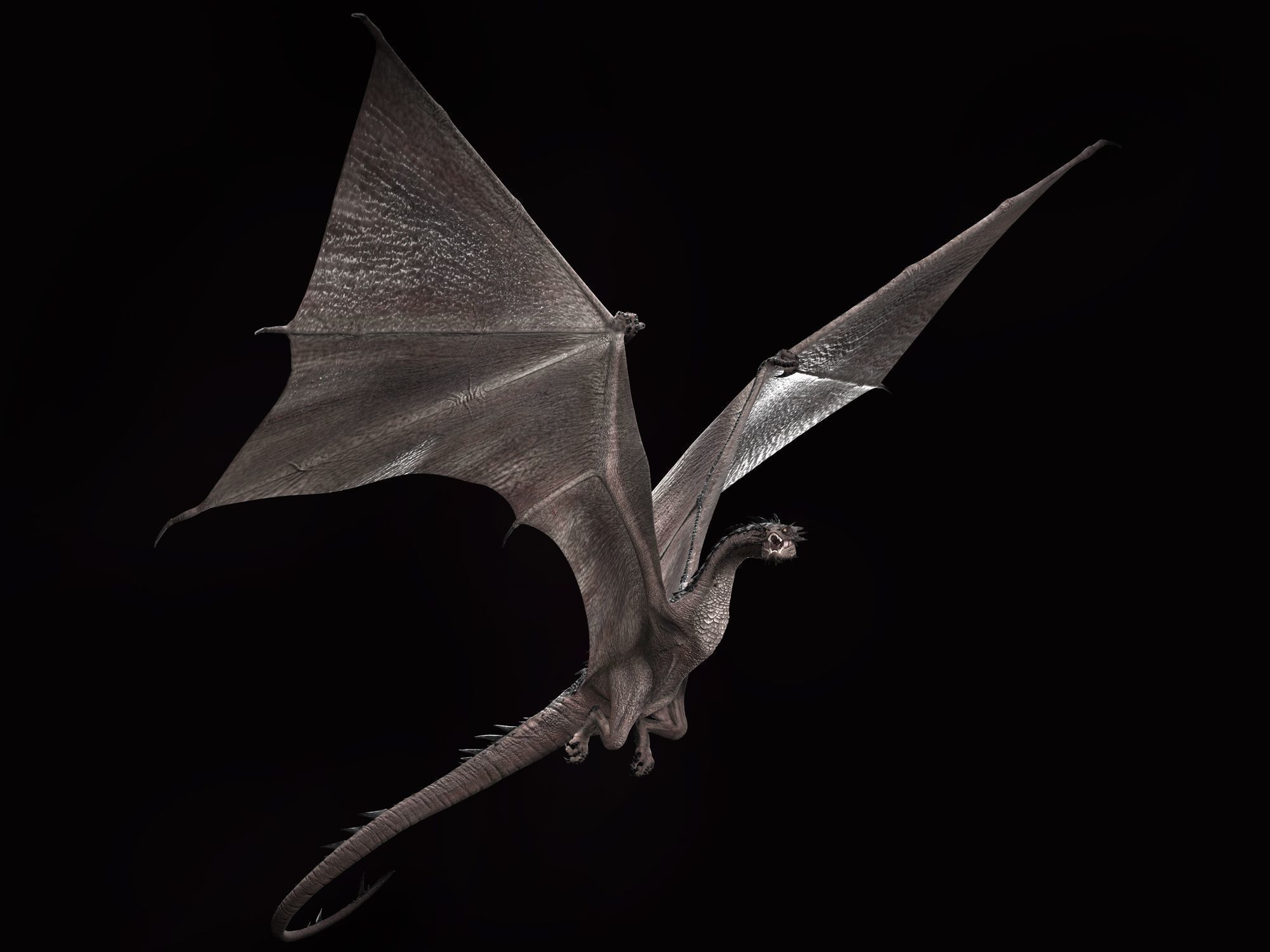 Smaug Hobbit Dragon 3D model rigged | CGTrader