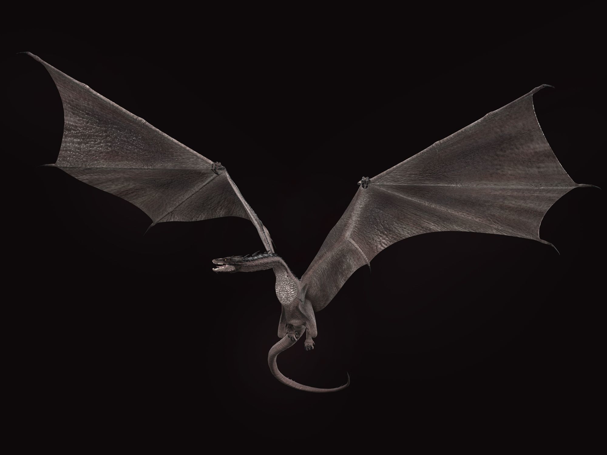 Smaug Hobbit Dragon 3D model rigged | CGTrader