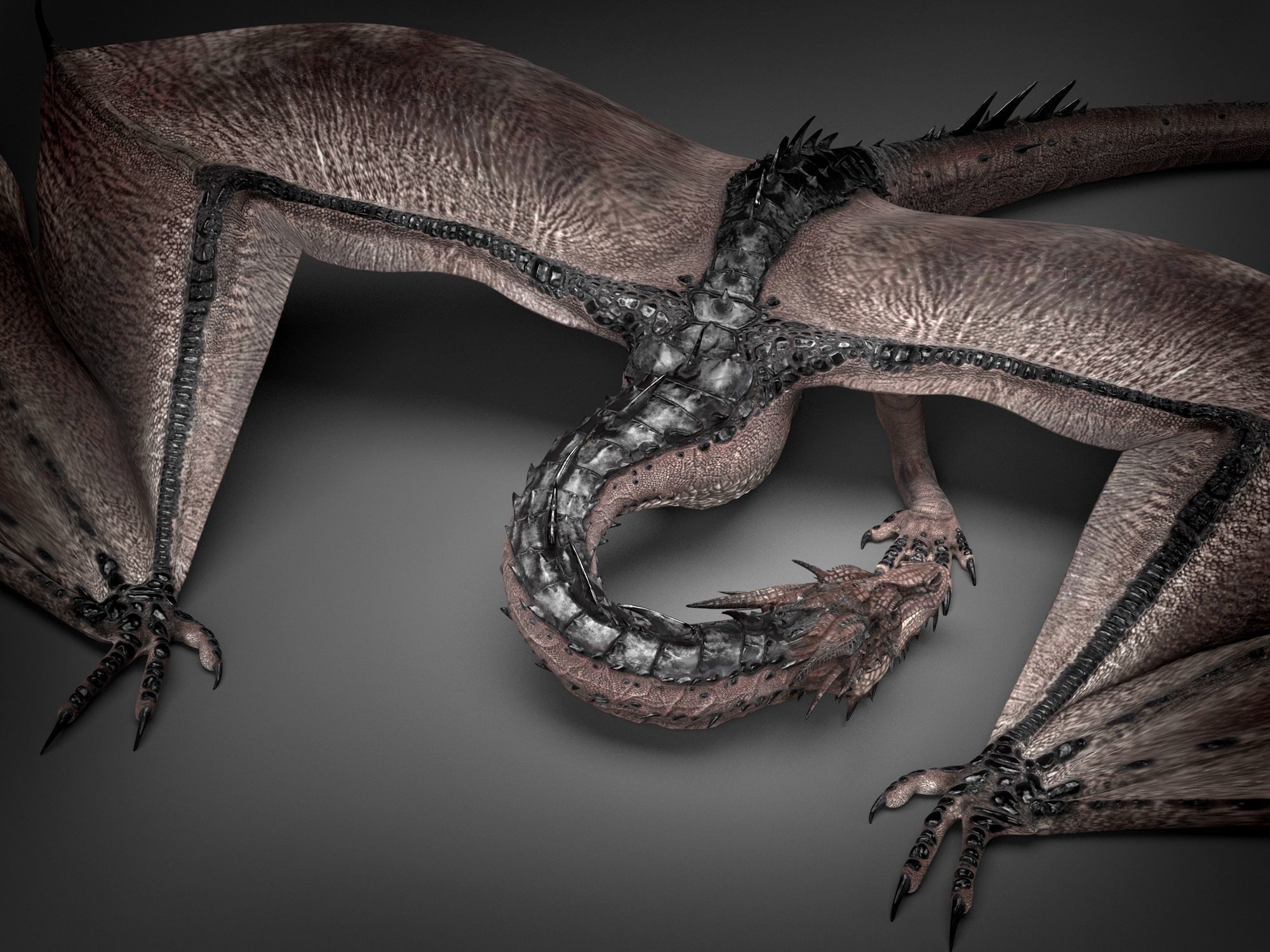 Smaug Hobbit Dragon 3D model rigged | CGTrader