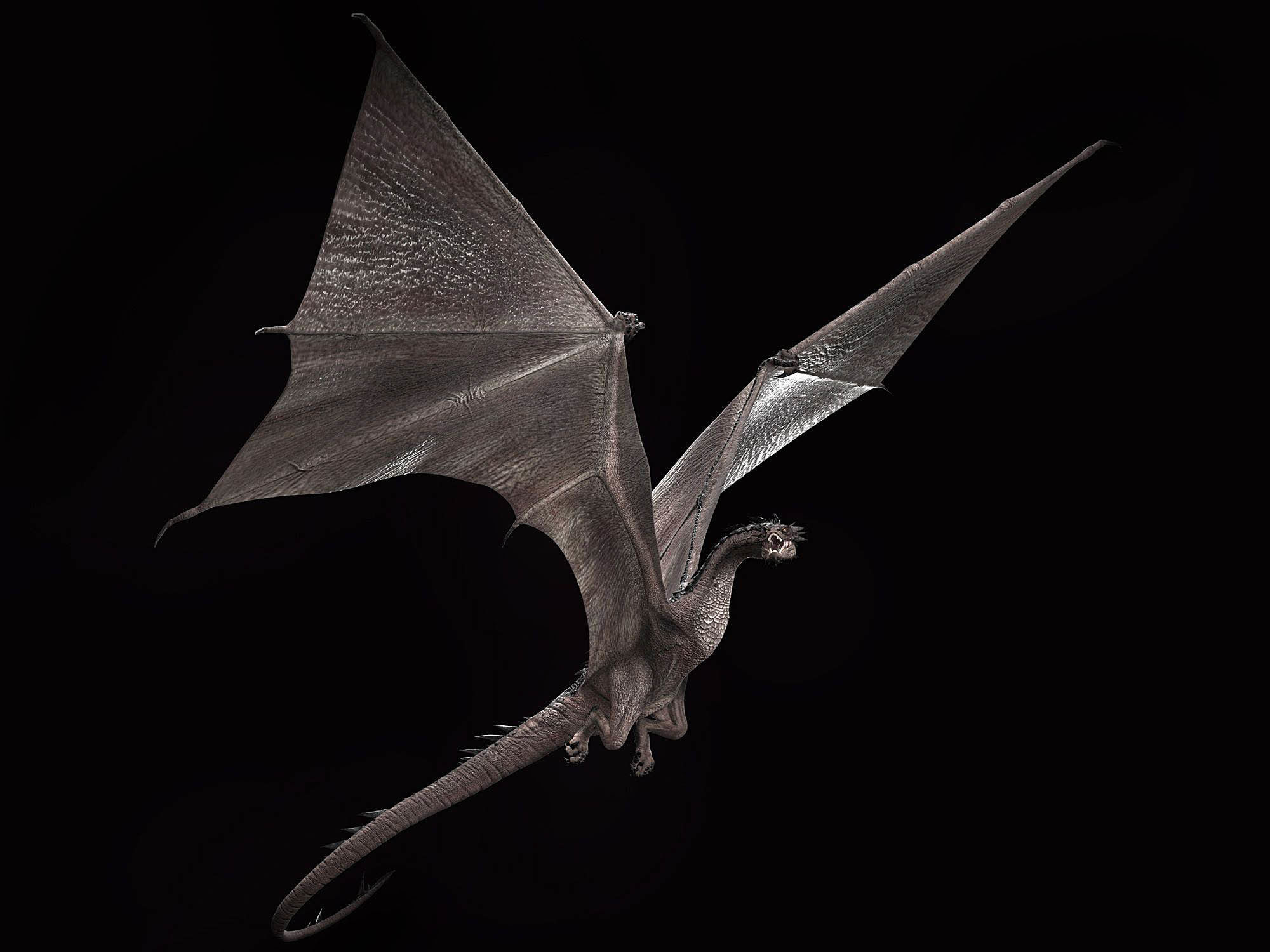 Smaug Hobbit Dragon 3D model rigged | CGTrader