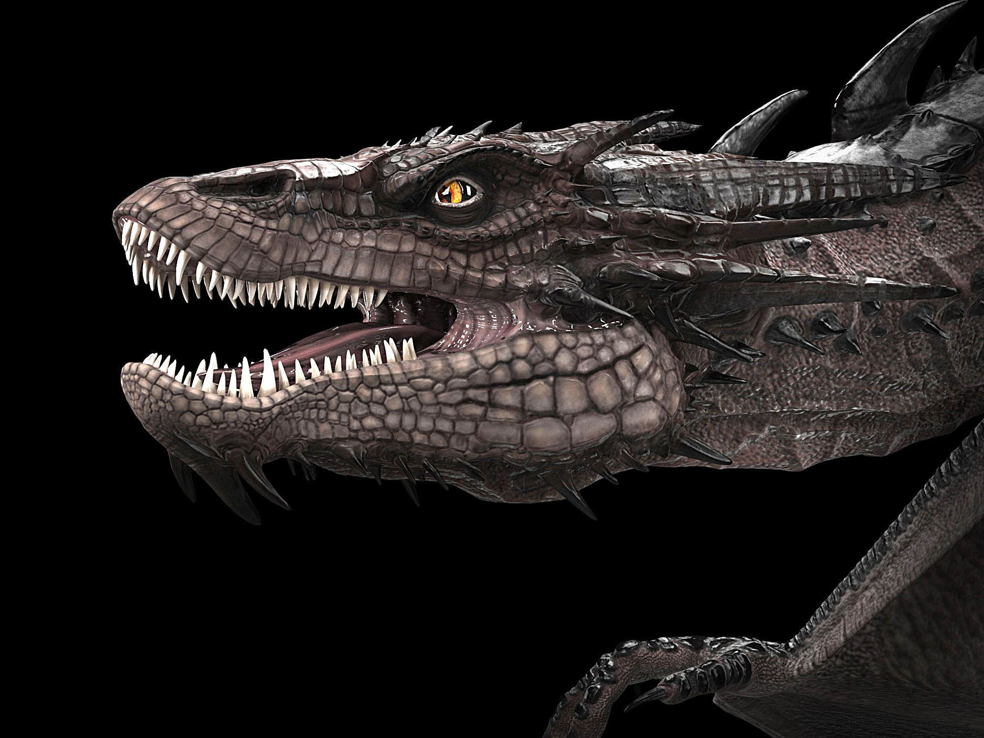 Smaug Hobbit Dragon 3D model rigged | CGTrader