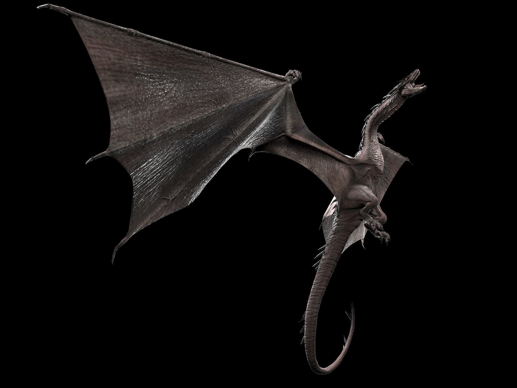 Smaug Hobbit Dragon 3D model rigged | CGTrader