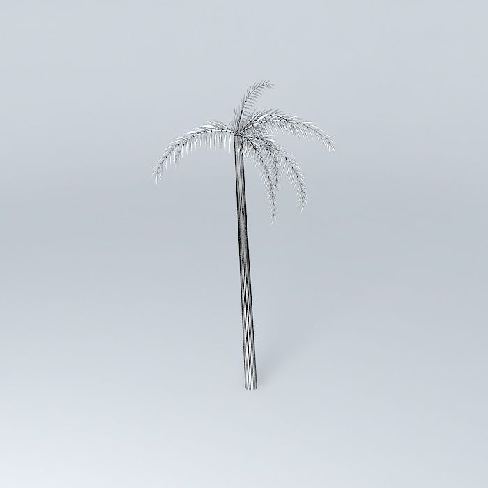 Palm Tree free 3D model | CGTrader