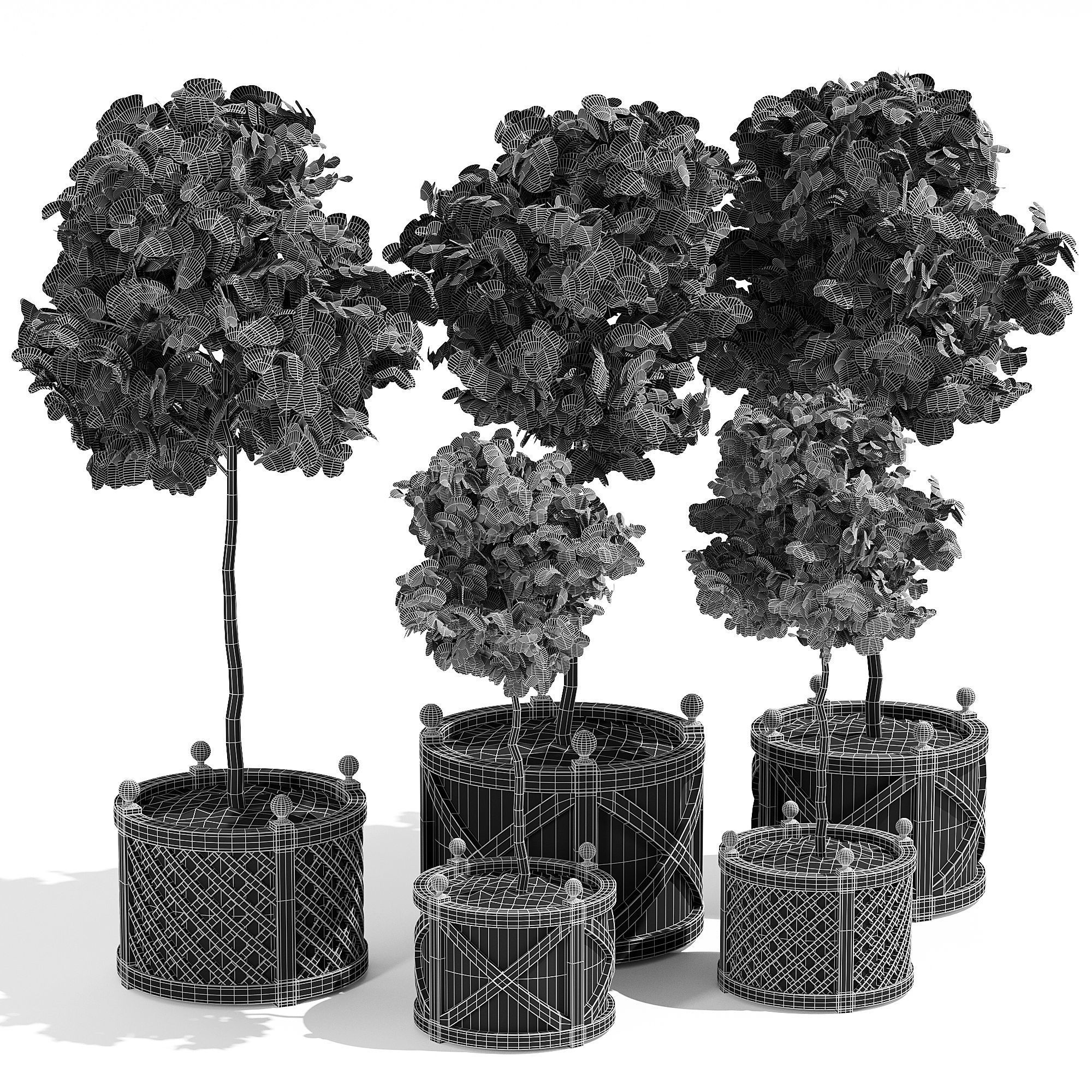 Acer tree 3D model | CGTrader