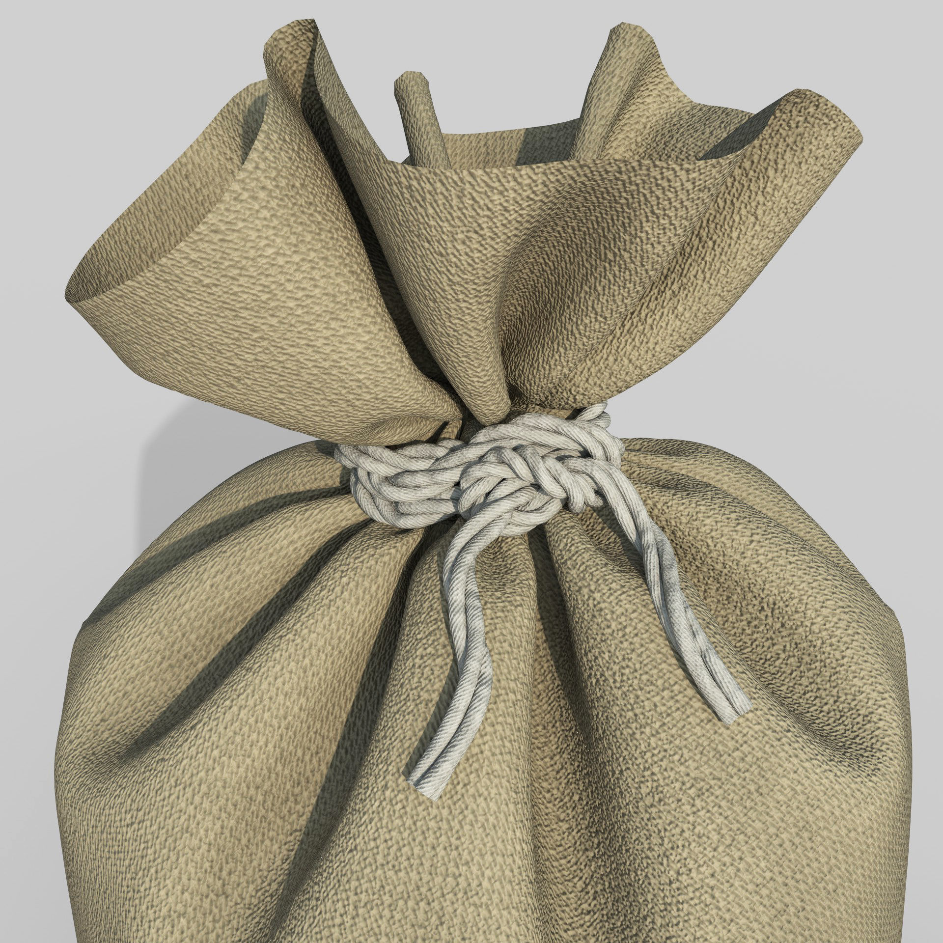 Money Bag 3D model | CGTrader