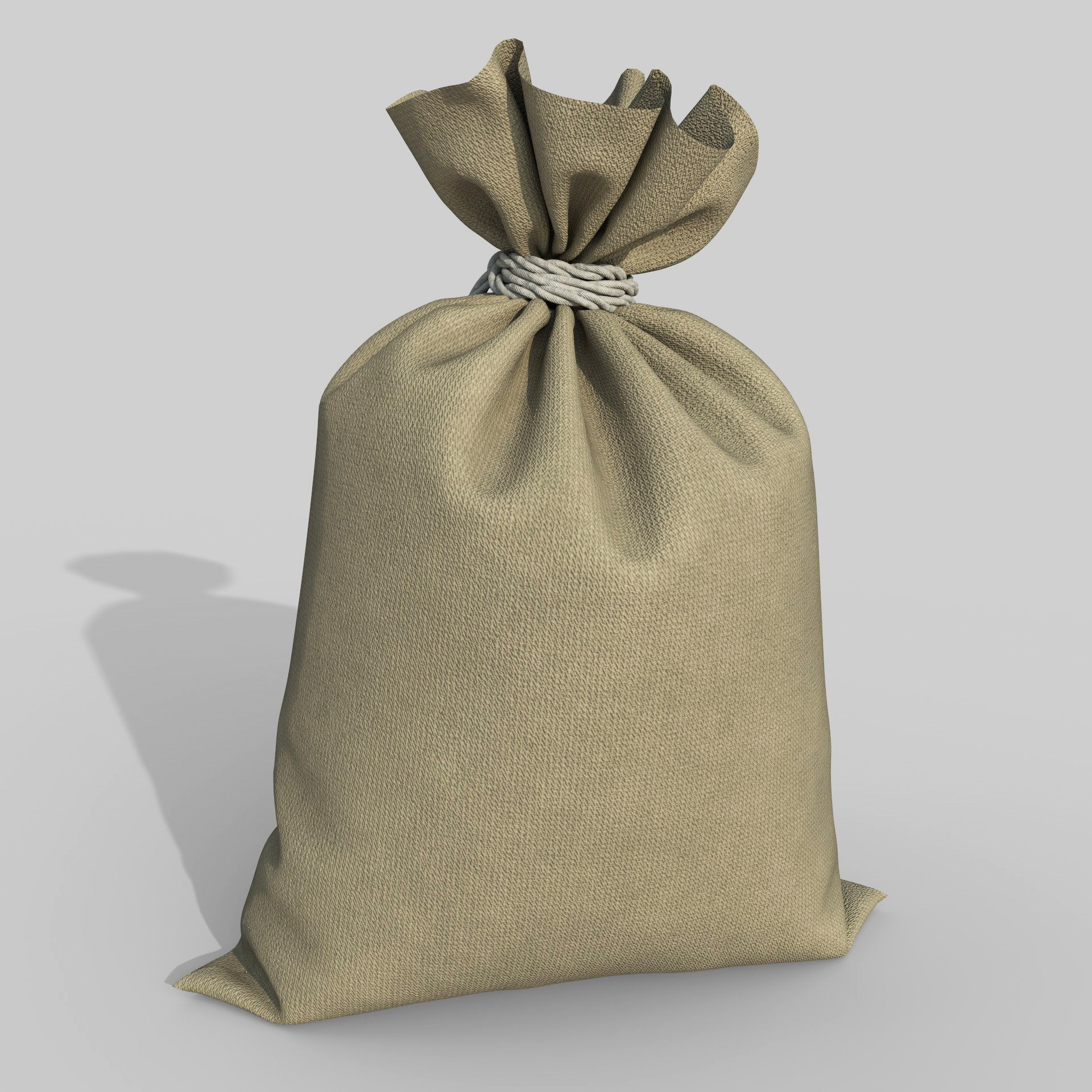 Money Bag 3D model | CGTrader