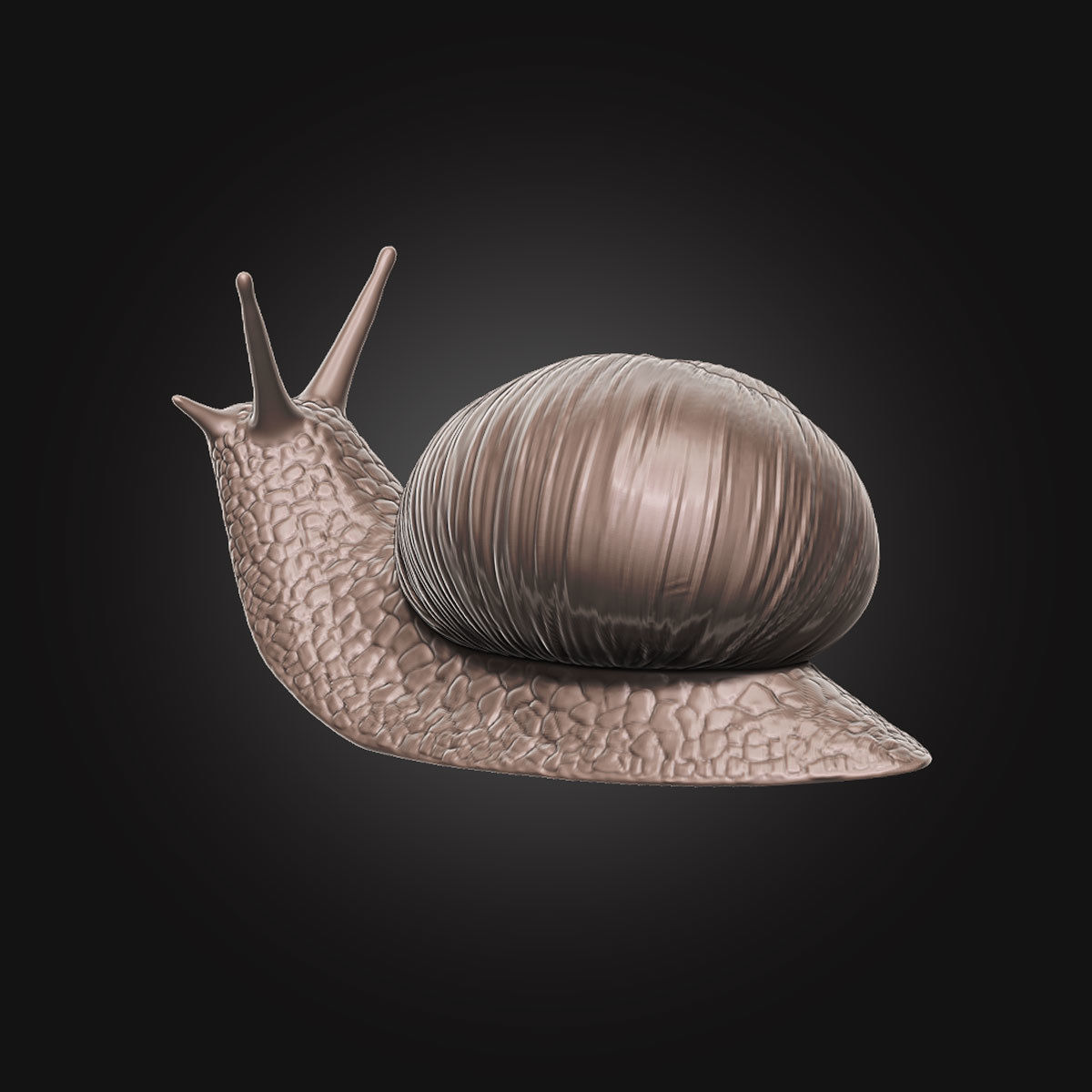 Snail 3D model 3D printable | CGTrader