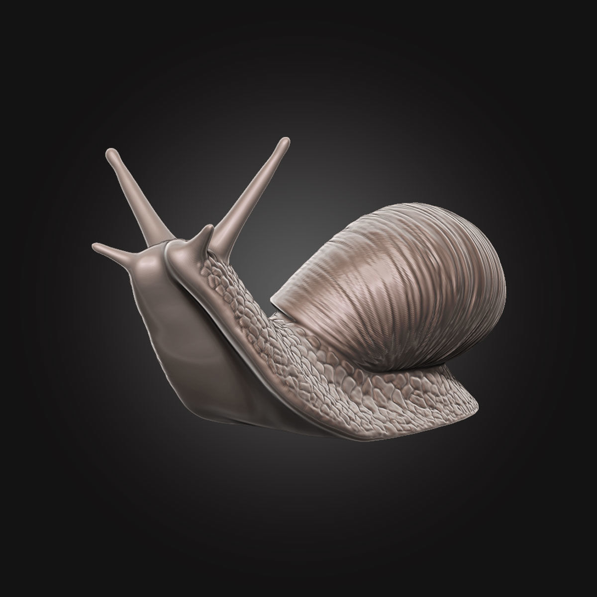 Snail 3D model 3D printable | CGTrader