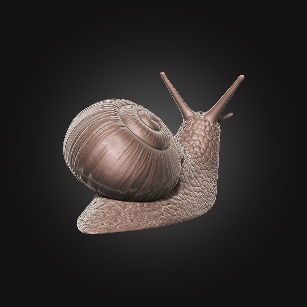 Snail 3D model 3D printable | CGTrader