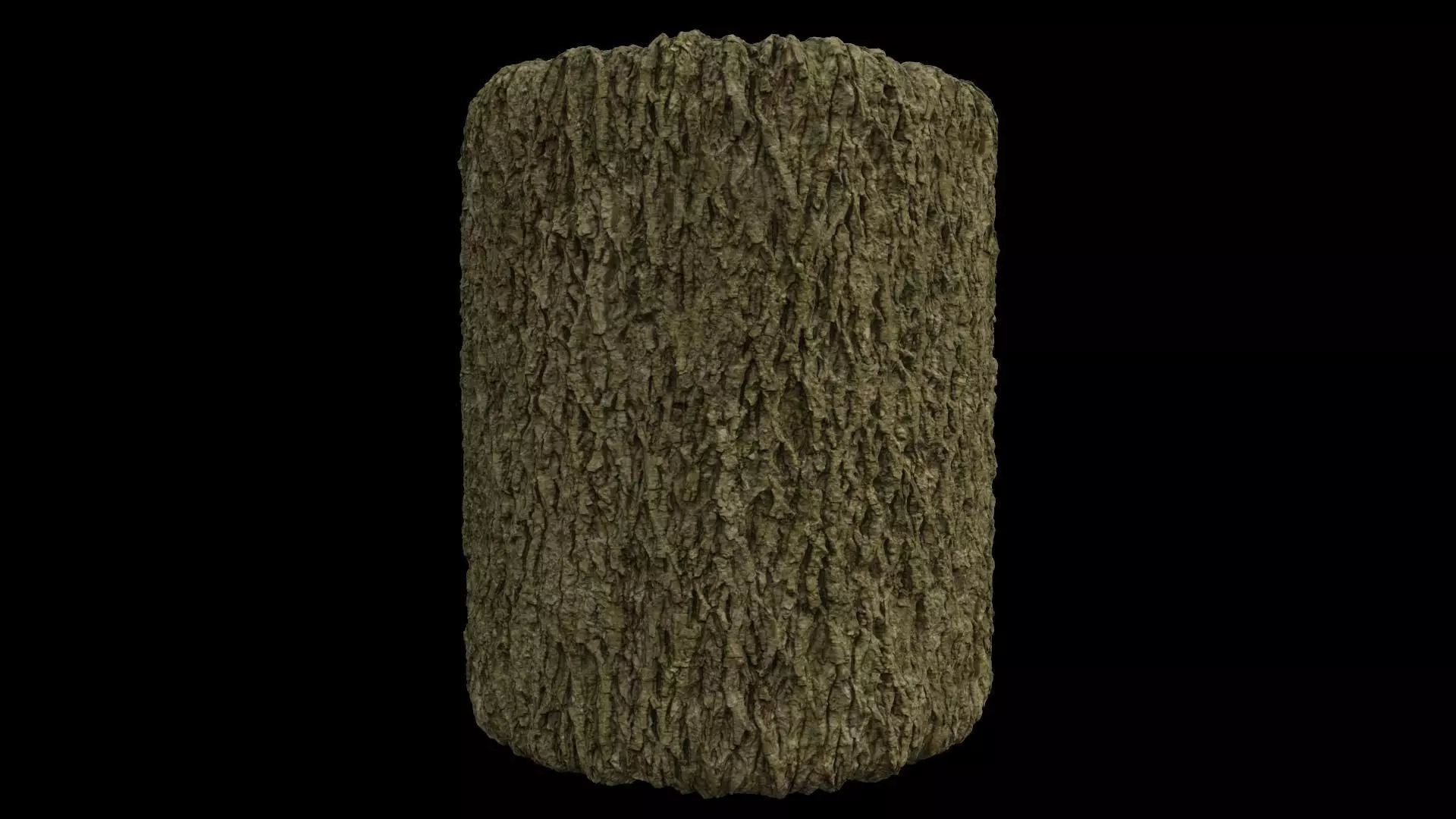 PBR Scanned Tree Bark 3D model | CGTrader