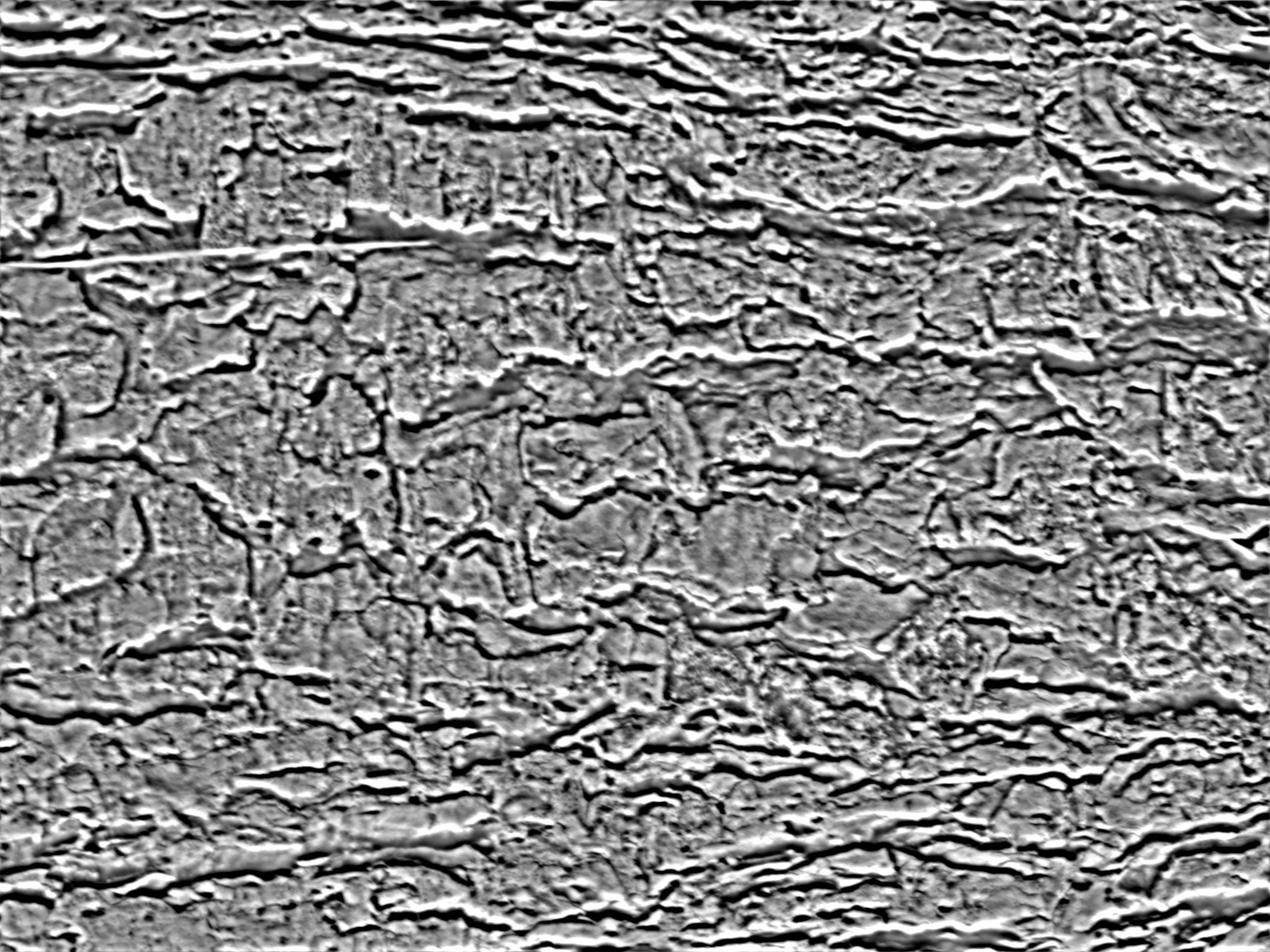 photo wood texture hdr free Texture | CGTrader