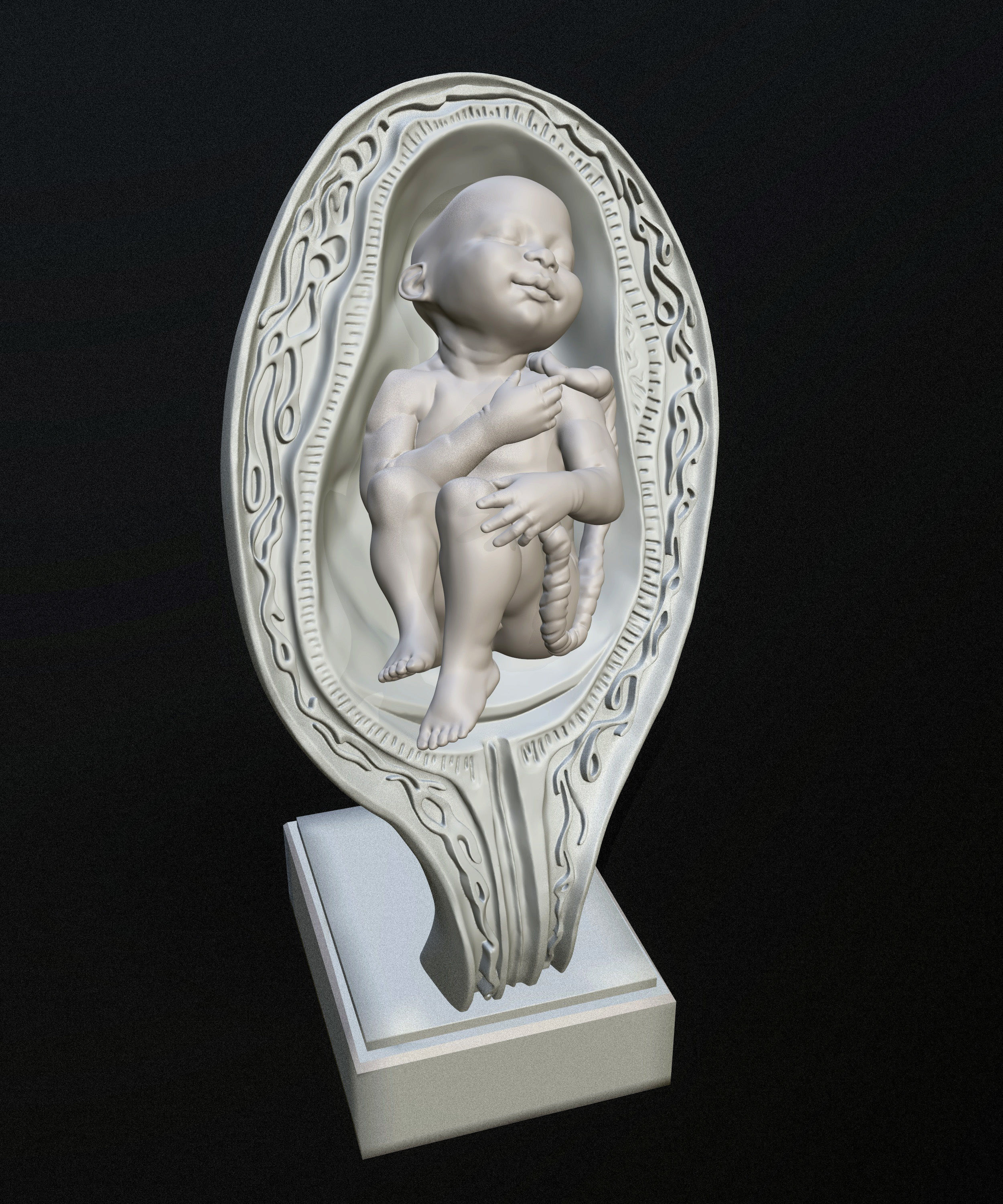 Baby in a womb 3D model 3D printable | CGTrader