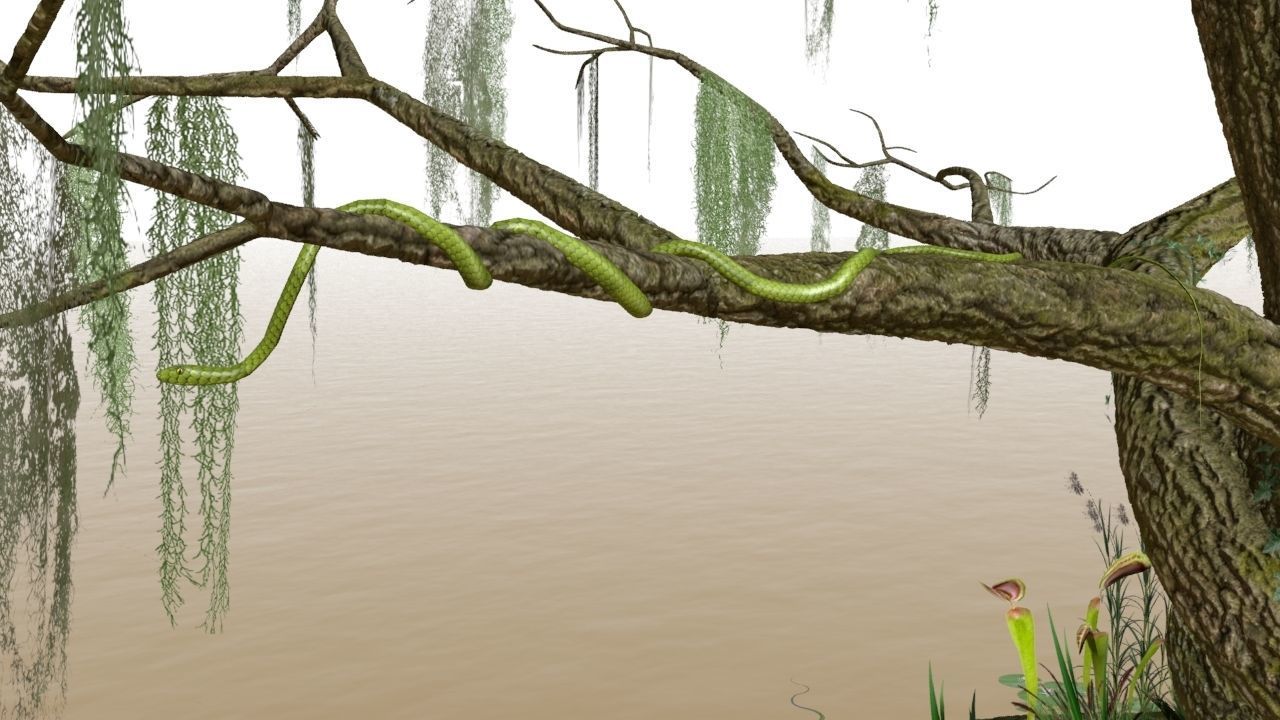 swamp assets 3D model | CGTrader