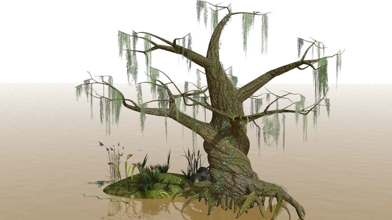 swamp assets 3D model | CGTrader