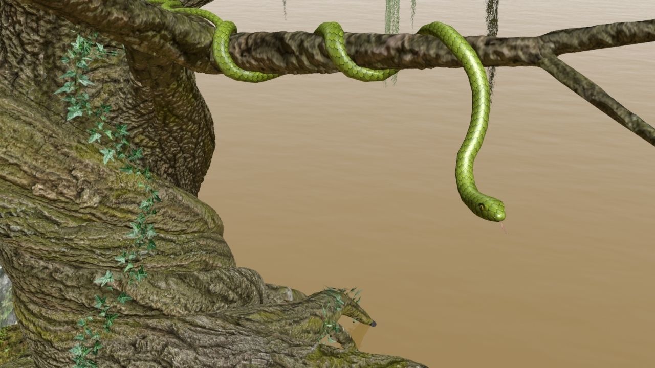 swamp assets 3D model | CGTrader