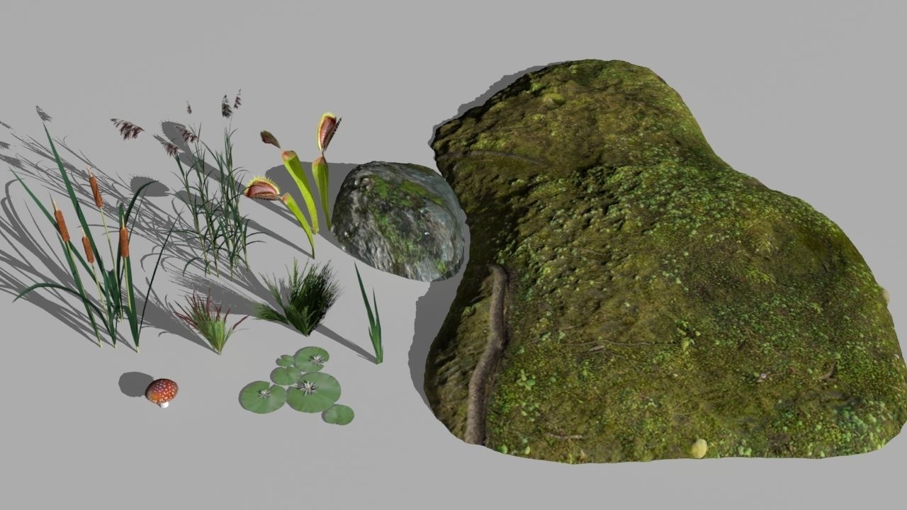 swamp assets 3D model | CGTrader