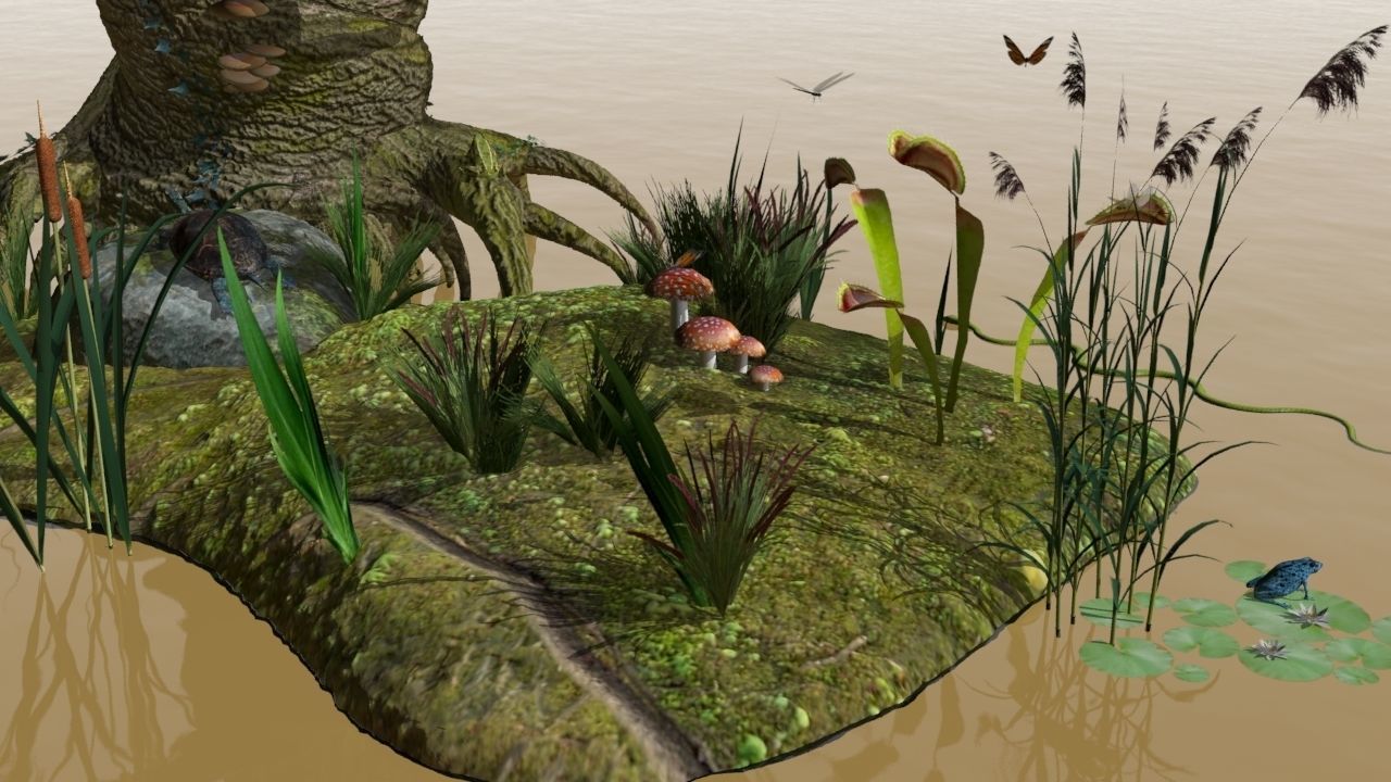 swamp assets 3D model | CGTrader