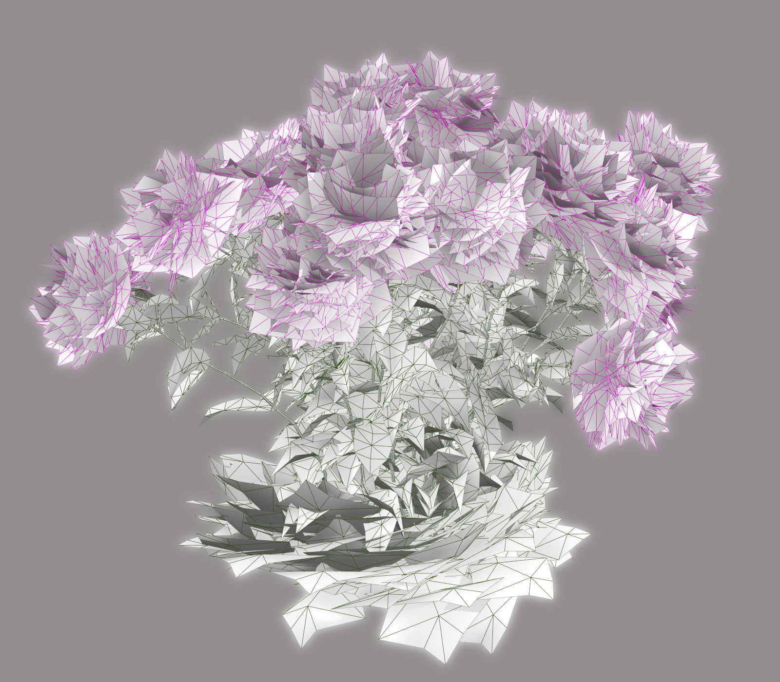 Flowers aster 3D model 3D model | CGTrader