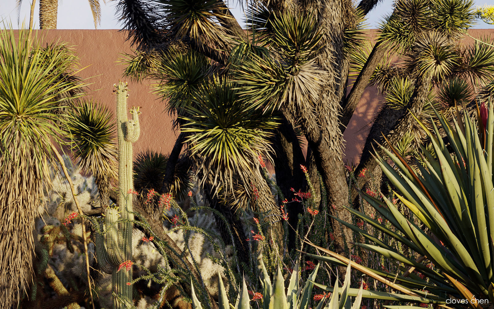 Tropical desert plant collection 3D model | CGTrader