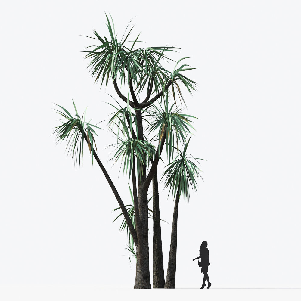 Tropical desert plant collection 3D model | CGTrader