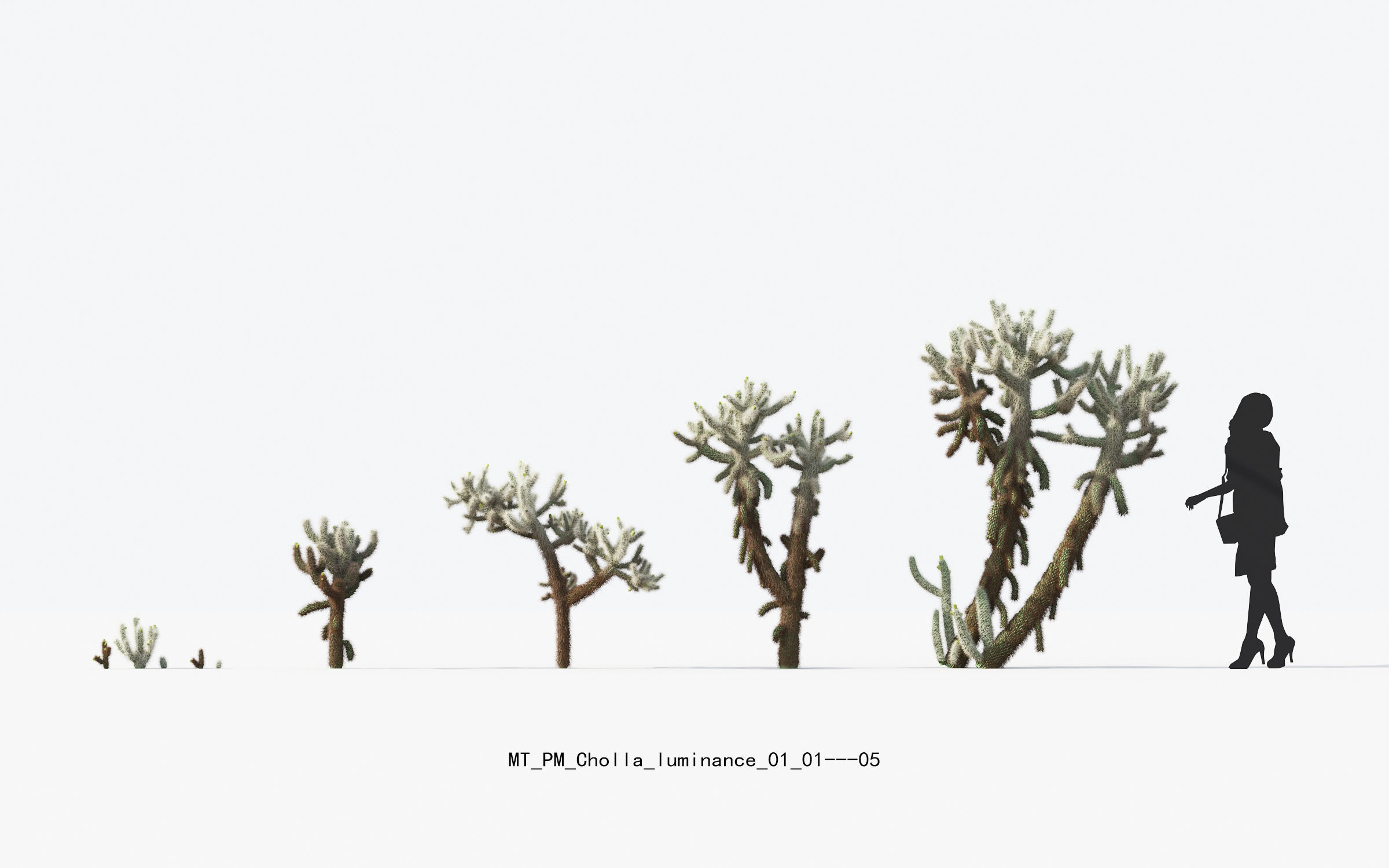 Tropical desert plant collection 3D model | CGTrader