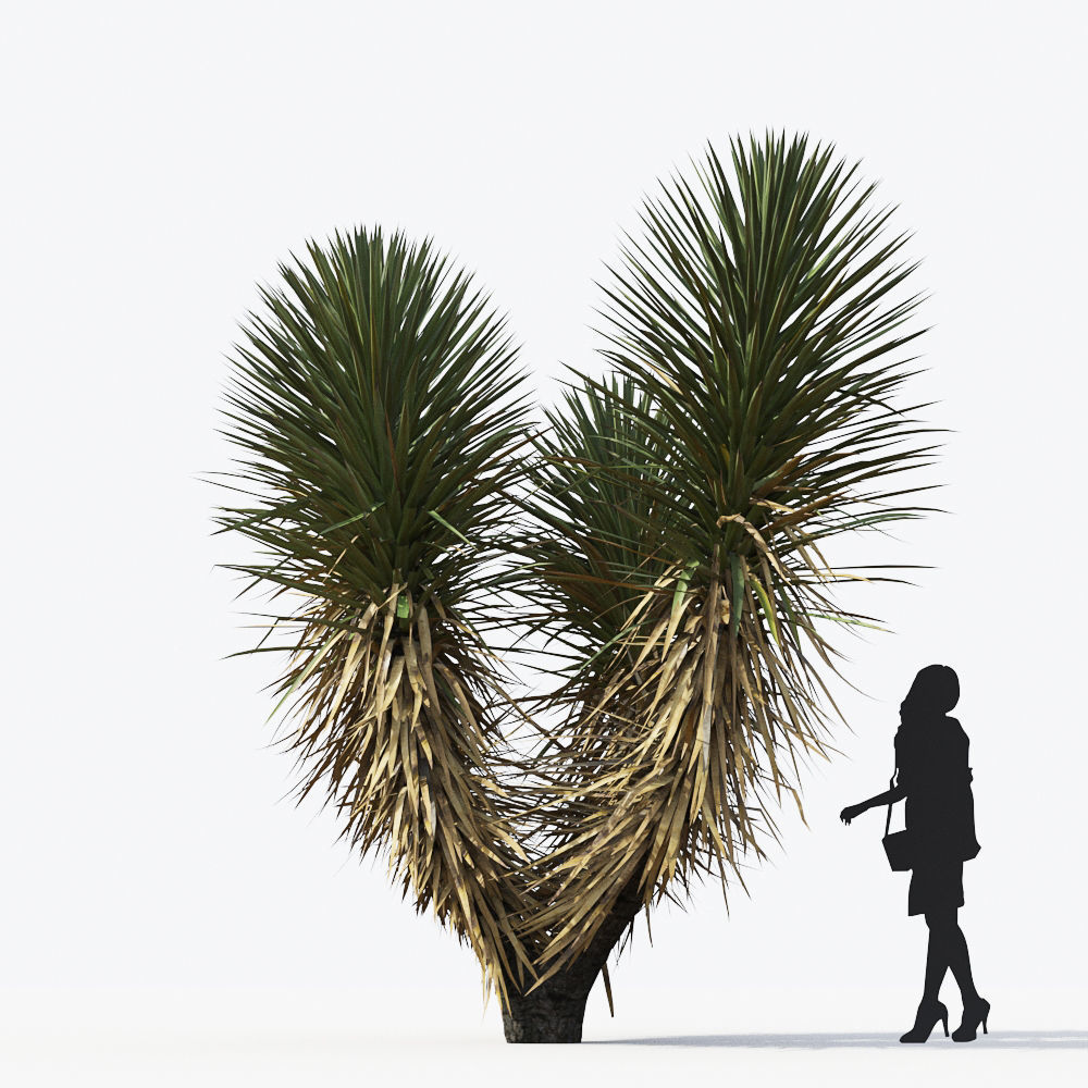 Tropical desert plant collection 3D model | CGTrader