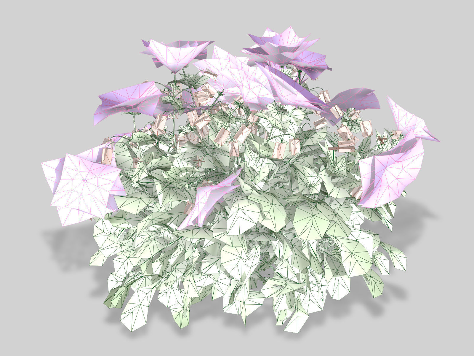 Flower Geranium garden 3D model | CGTrader