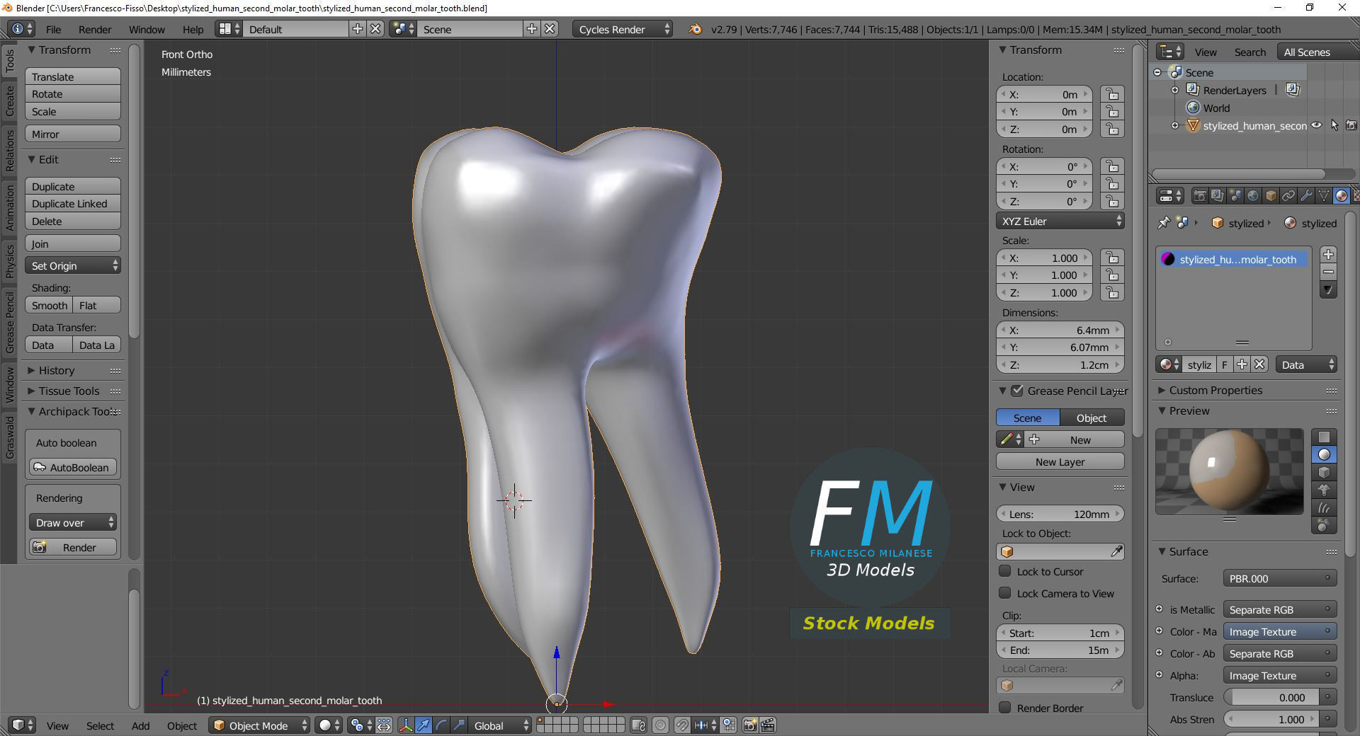 Stylized human second molar tooth 3D model | CGTrader