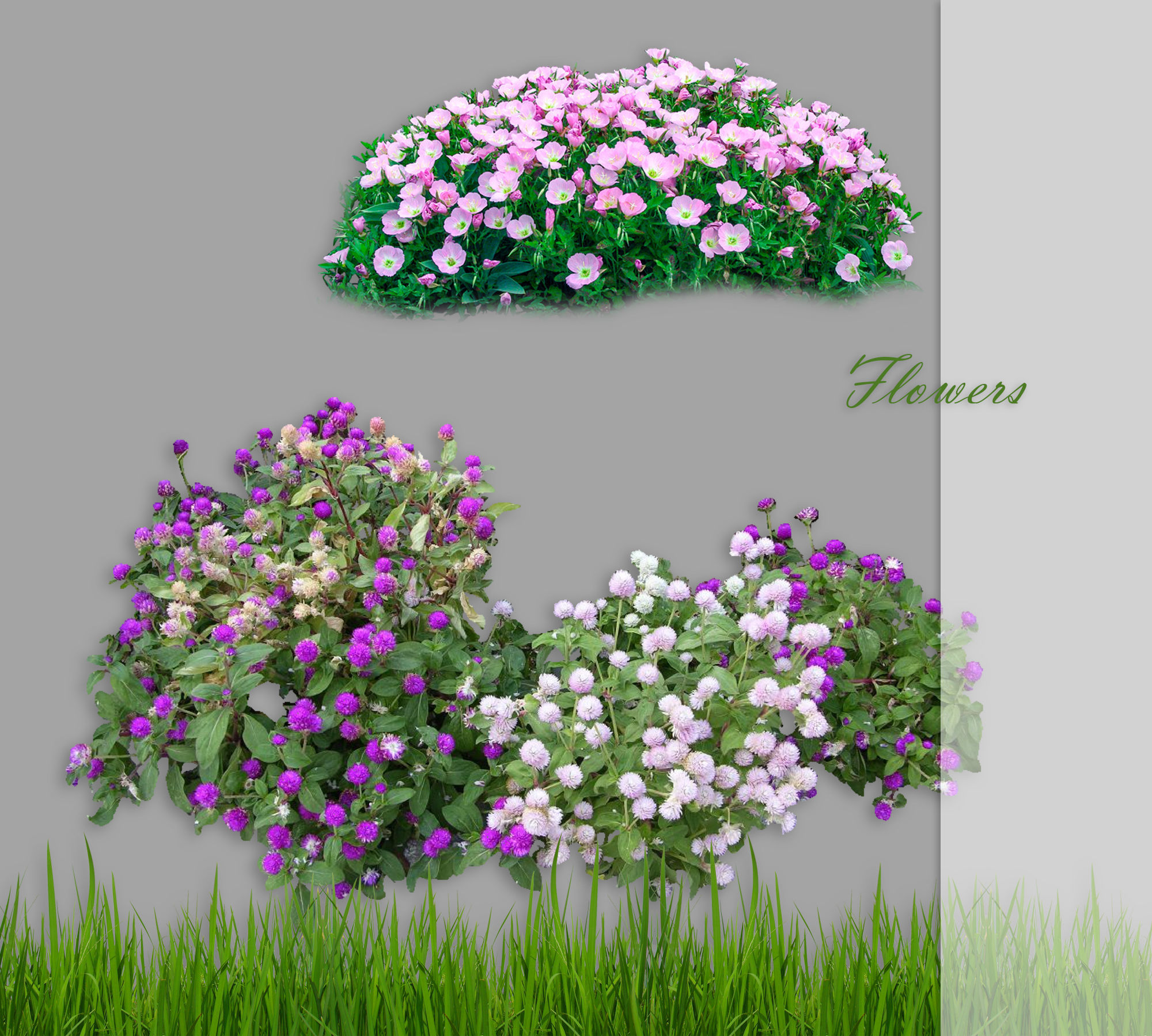 Set of textures for landscape design Texture | CGTrader