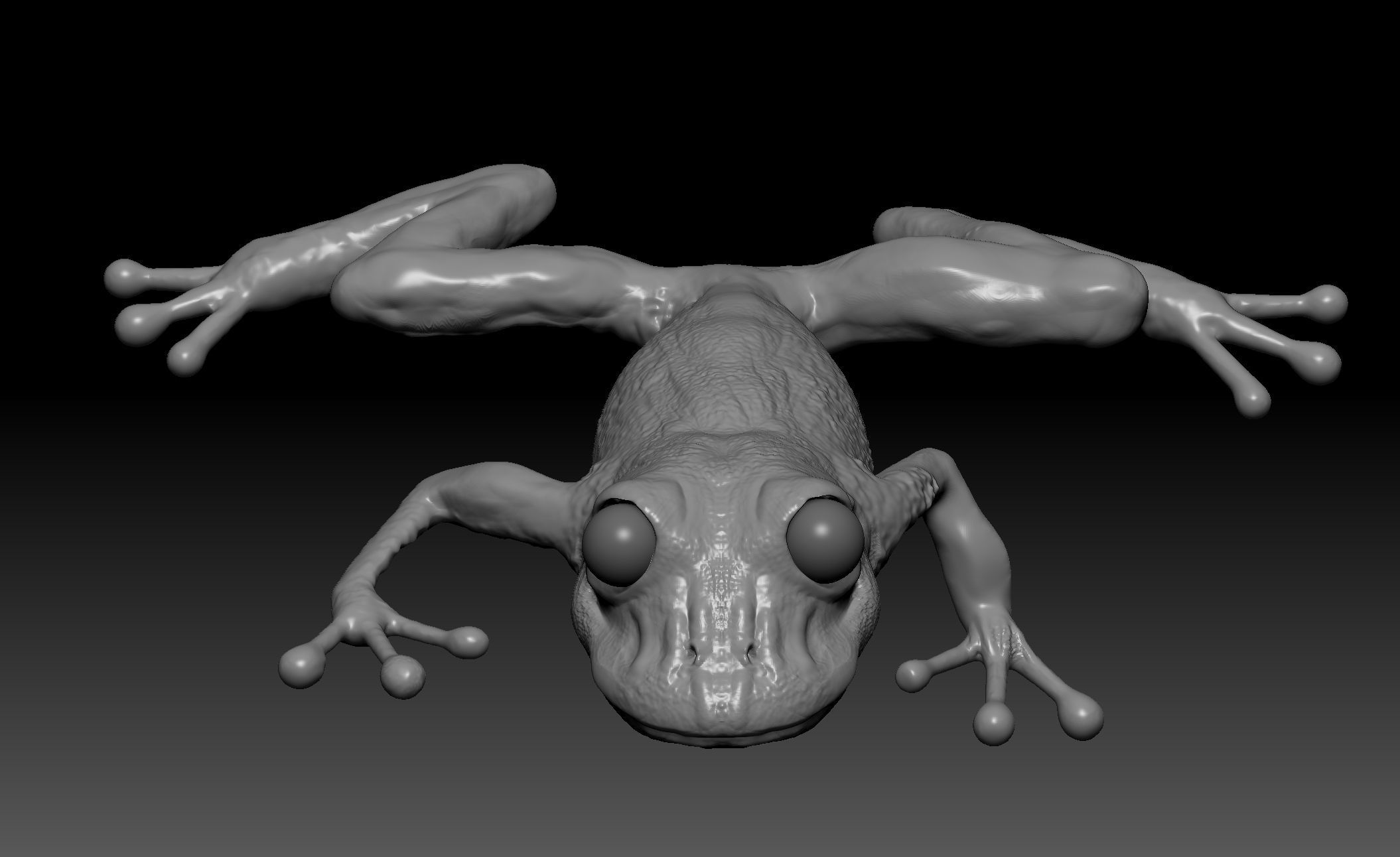 Frog Zbrush 3D model | CGTrader