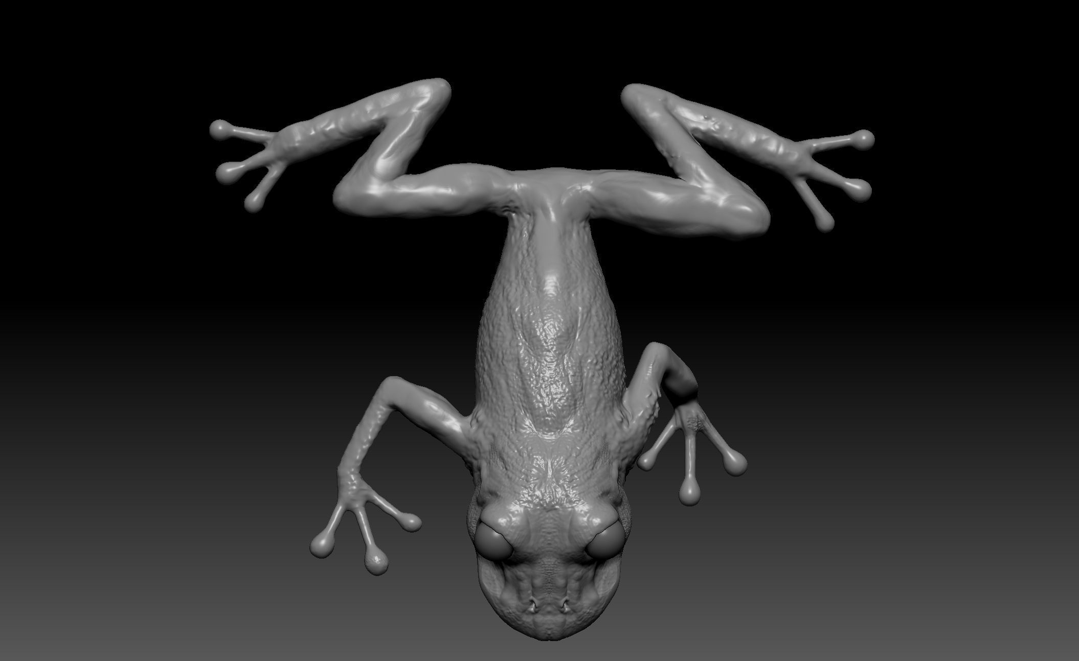 Frog Zbrush 3D model | CGTrader