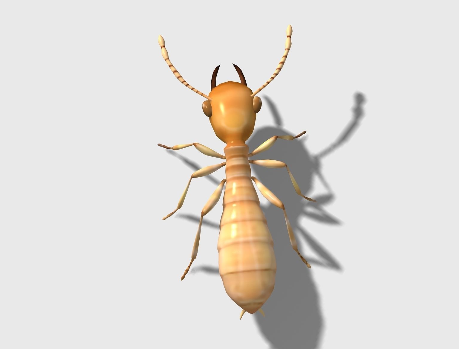 3D model rigged animated termite white ant VR / AR / low-poly | CGTrader