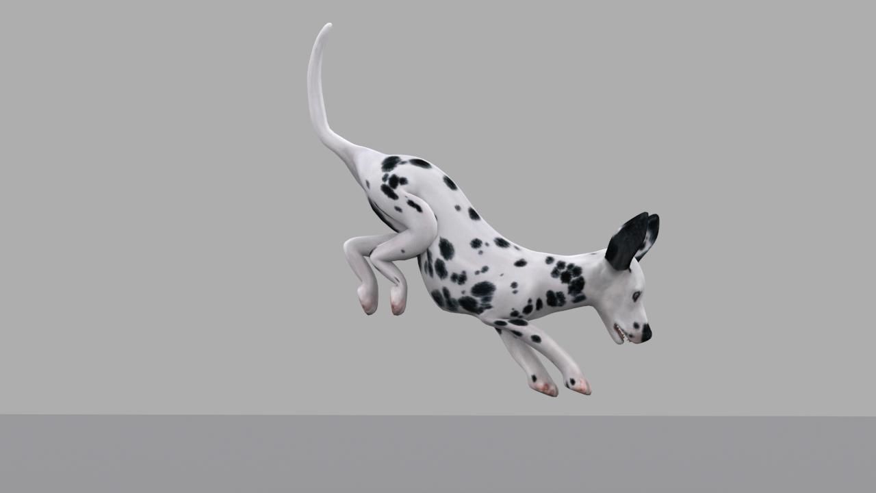 dog dalmatain spotty dog 3D model animated rigged | CGTrader