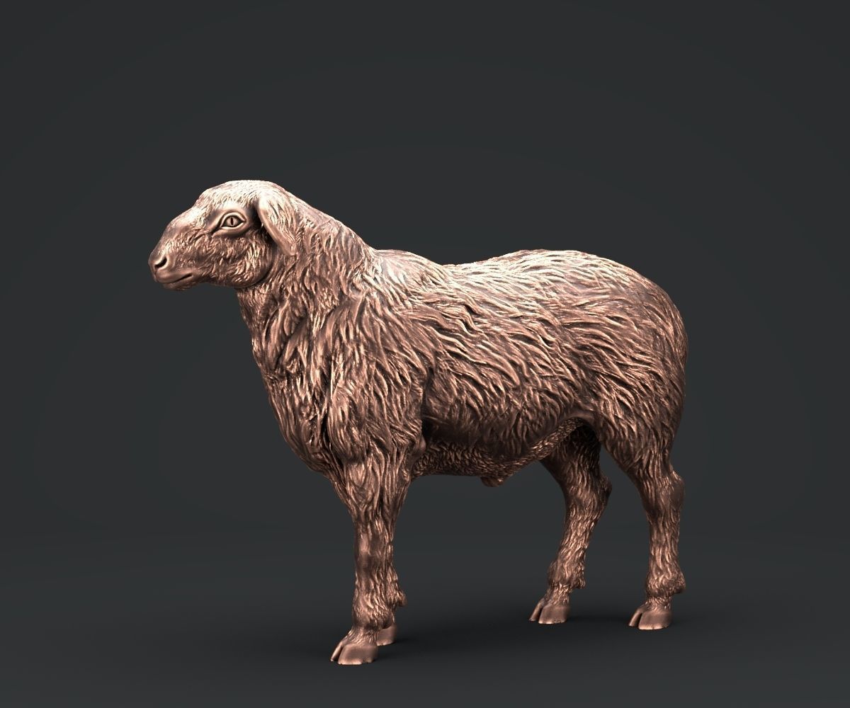 Sheep 3D model 3D printable | CGTrader
