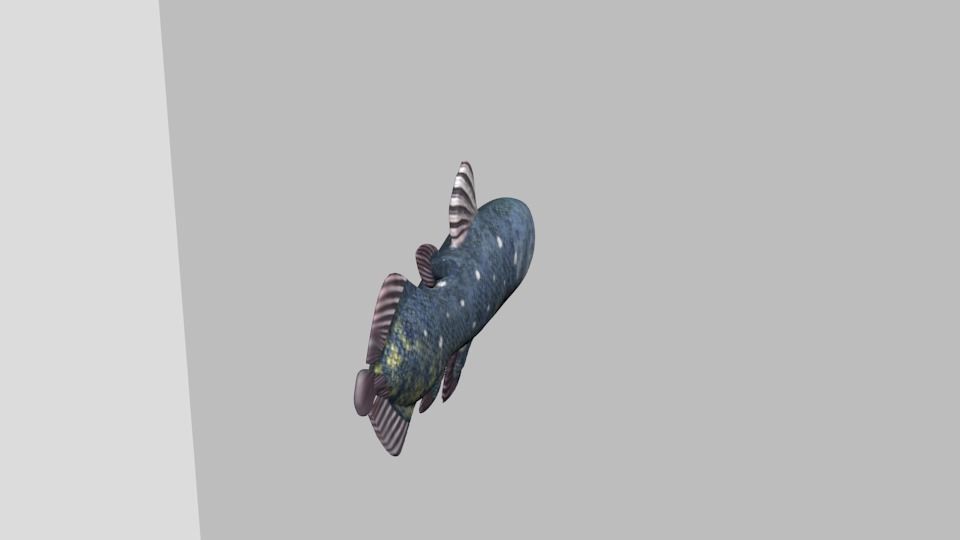 3D model Coelacanth Fish VR / AR / low-poly | CGTrader