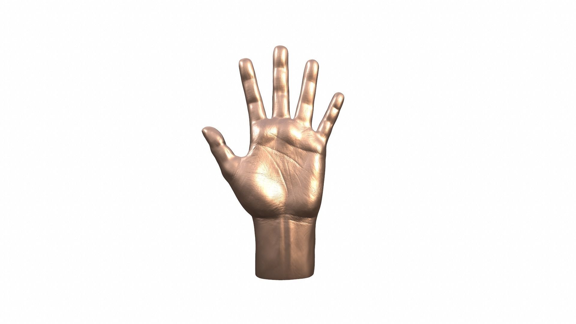 Male Hand 3 poses free 3D model 3D printable | CGTrader