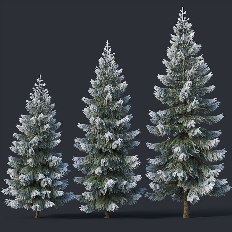 Spruce Nr4 Three sizes H430-650cm Modular branches 3D model | CGTrader