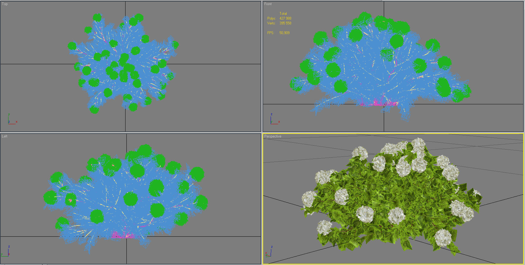 Viburnum Kalina Buldenezh 3D model | CGTrader