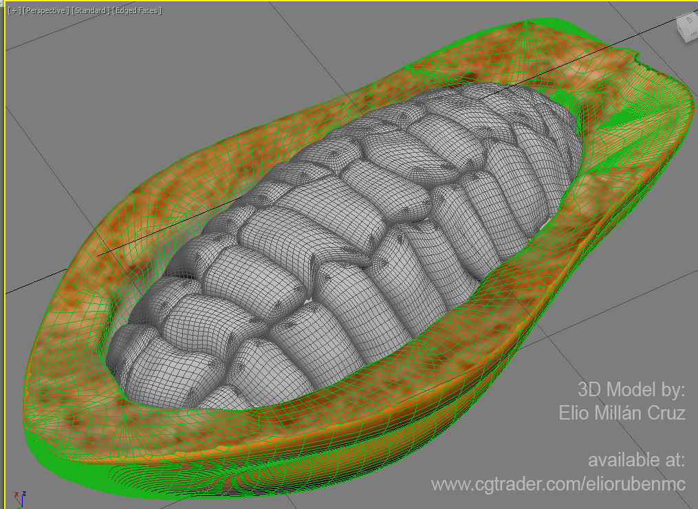 Cacao Fruit 3 colors 3D model | CGTrader