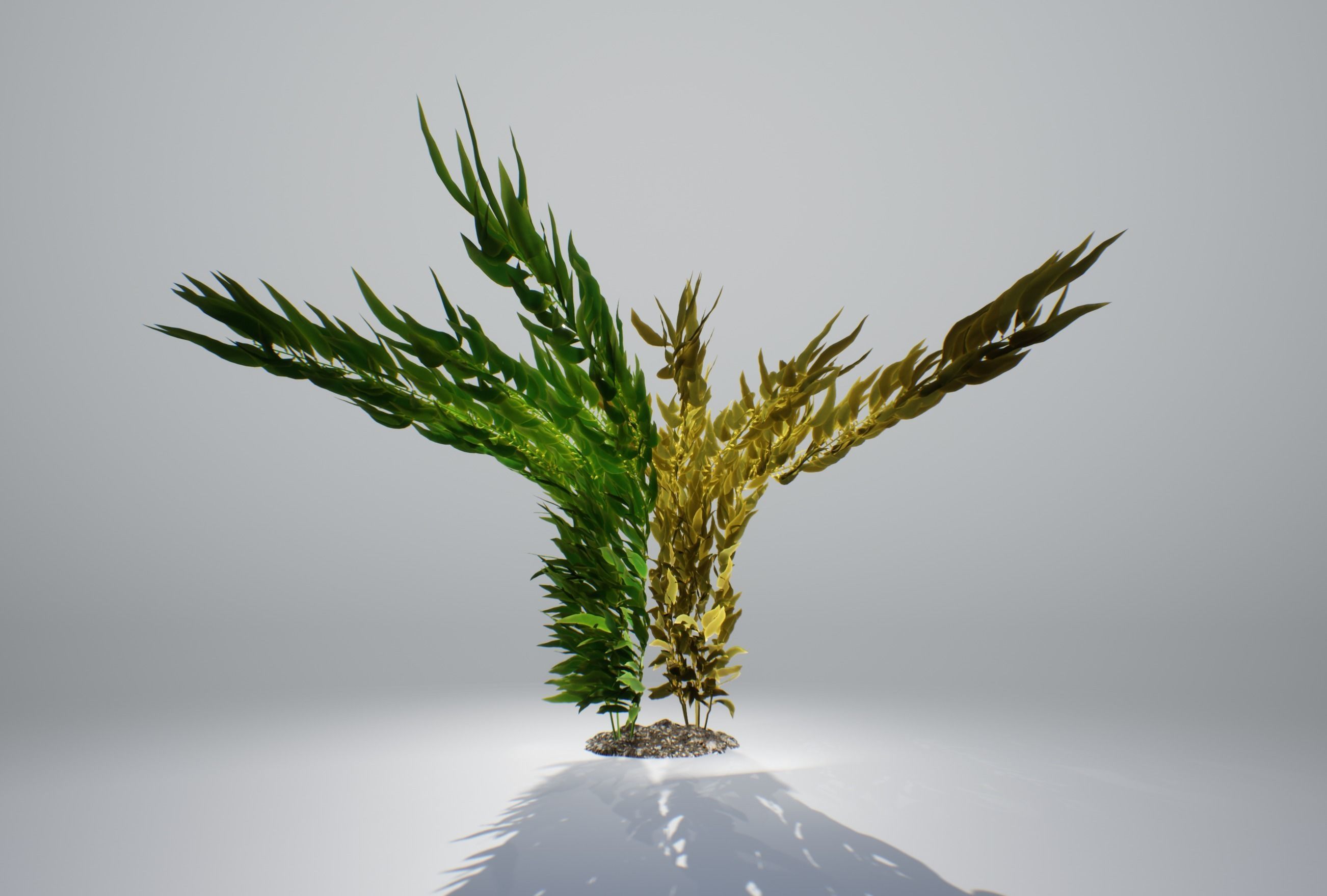 Kelp collection plant 3D model | CGTrader