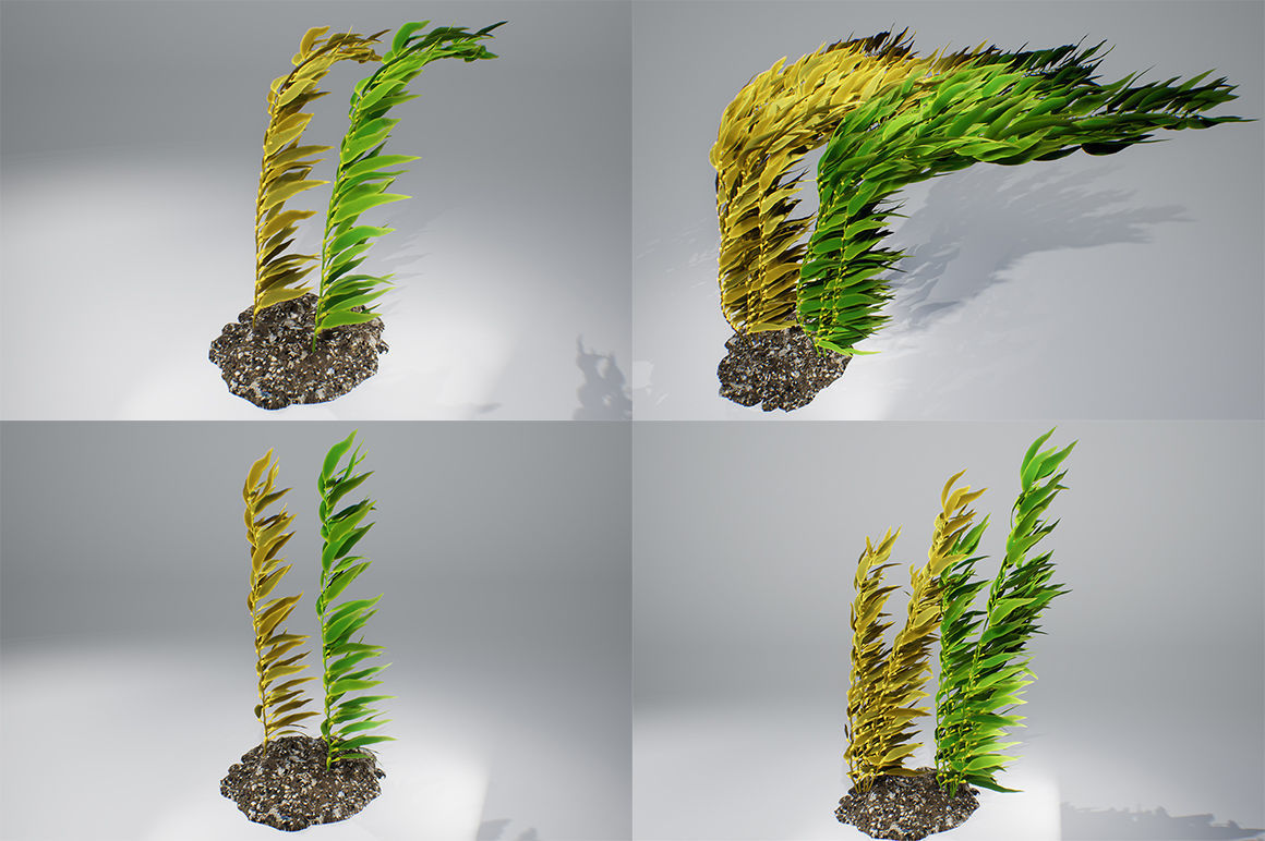 Kelp collection plant 3D model | CGTrader