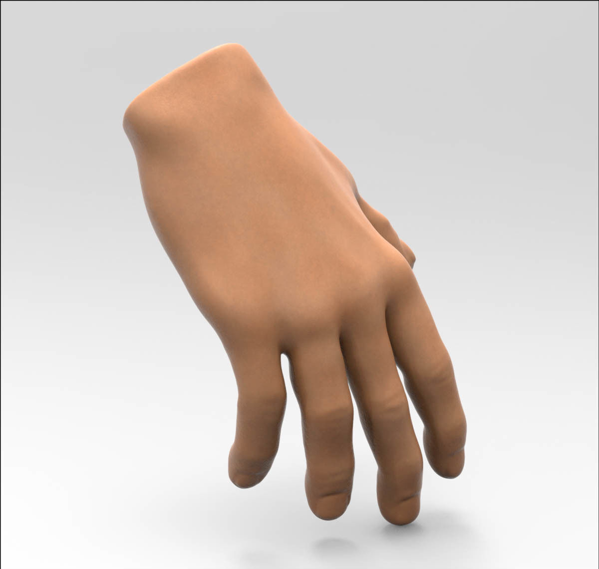 Hand human 3D model | CGTrader