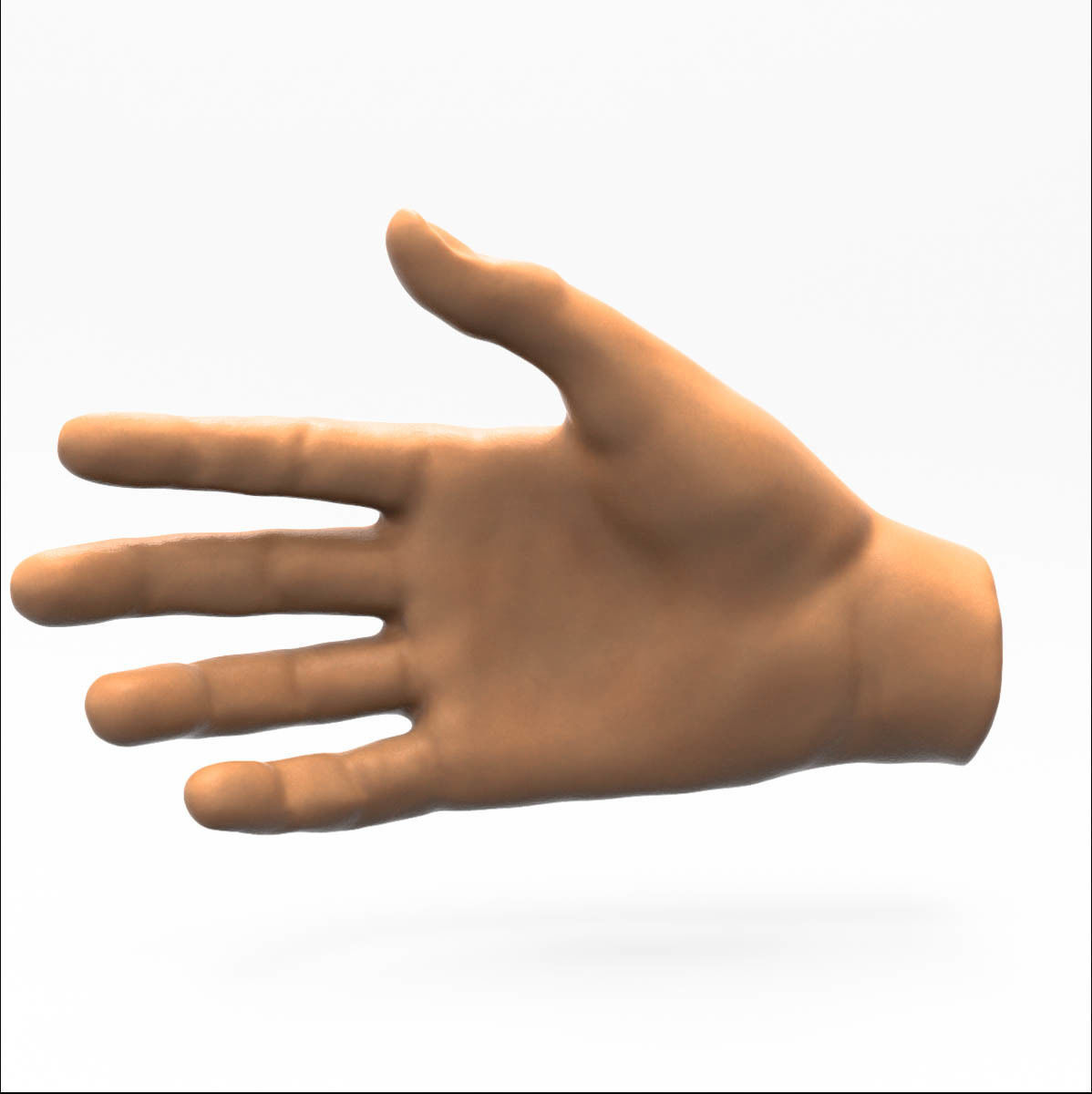 Human Hand 3D model | CGTrader