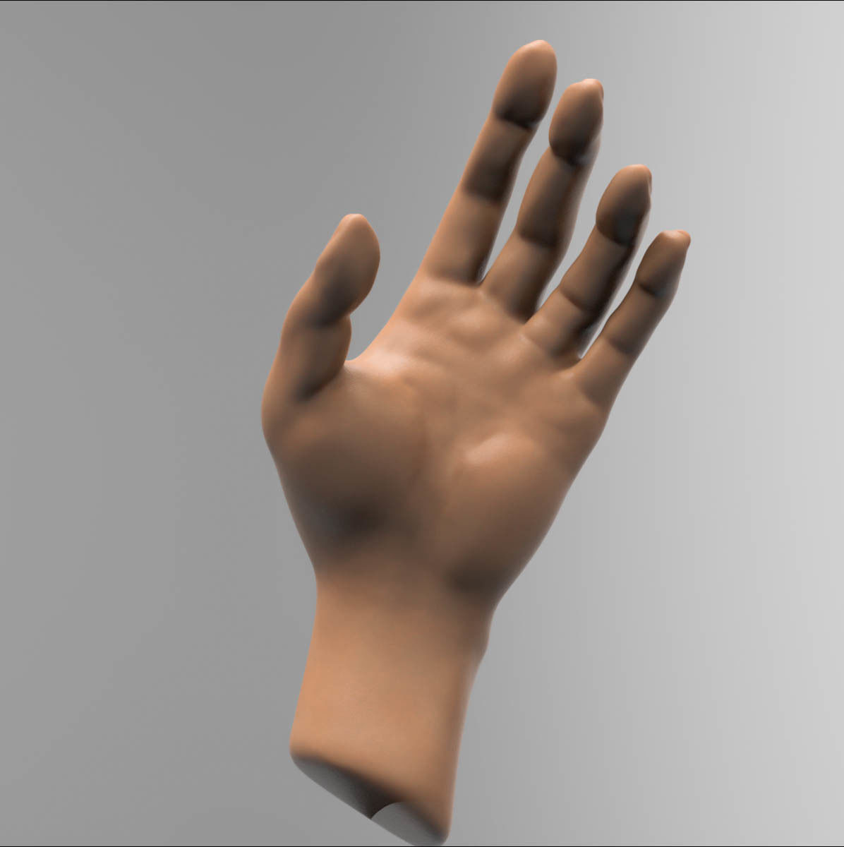 Human Hand 3D model | CGTrader