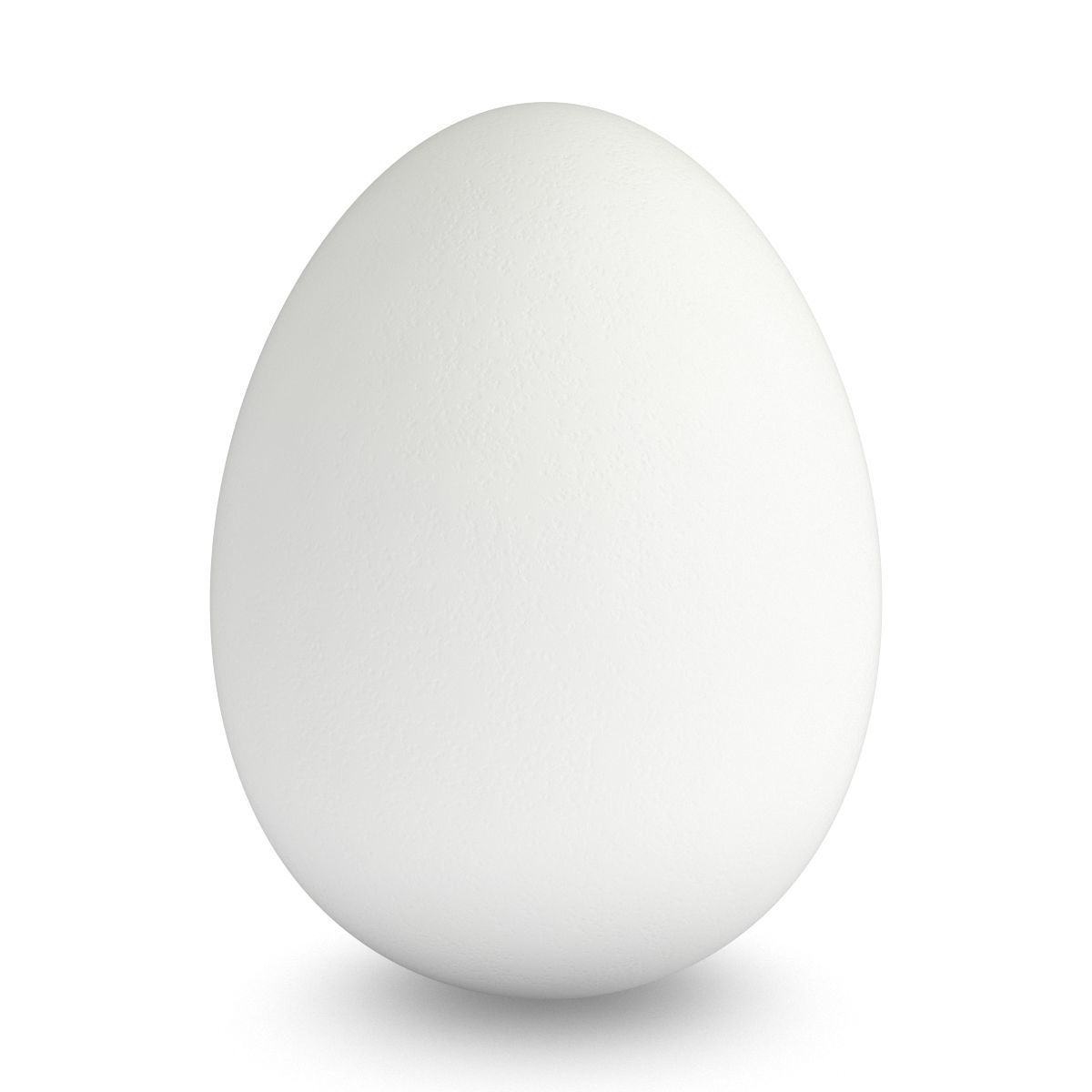 White Egg 3D model | CGTrader
