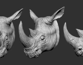 Rhino 3D Print Models | CGTrader