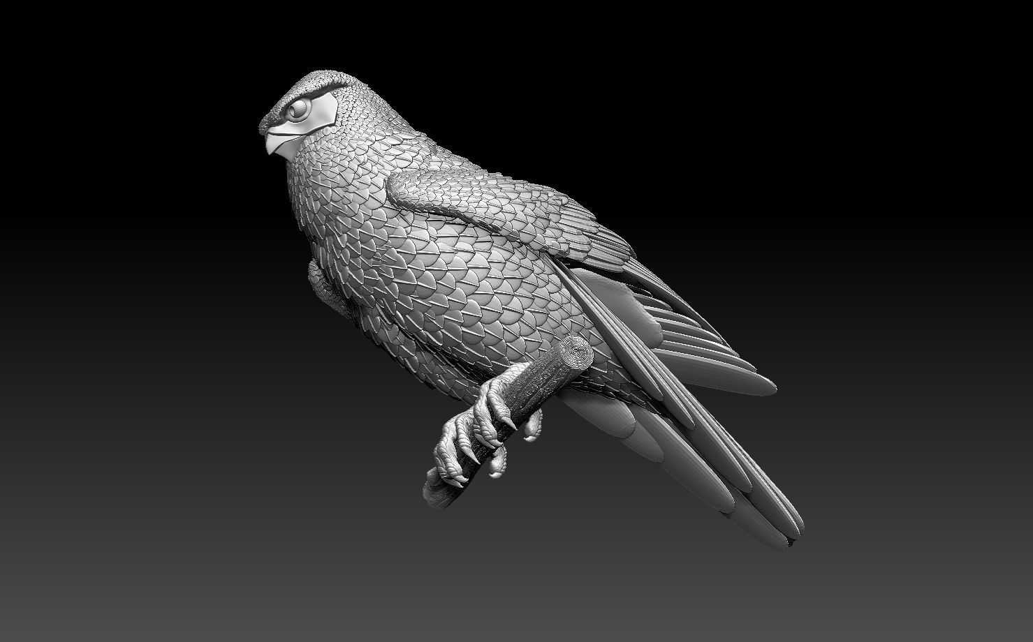falcon 3D model 3D printable | CGTrader