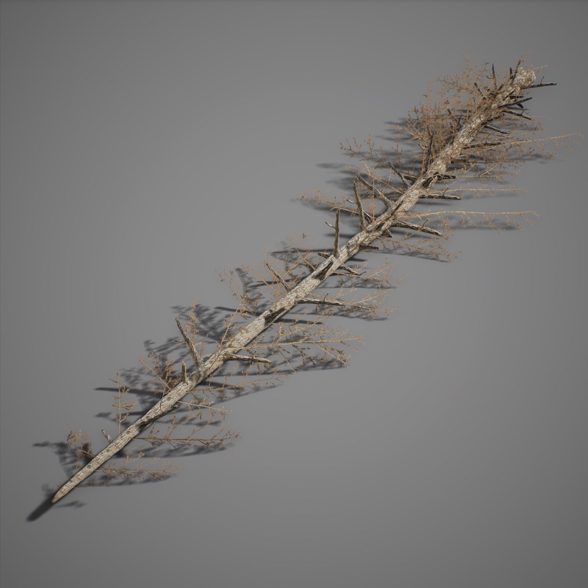 3D model UE4 - Fir Trees VR / AR / low-poly | CGTrader