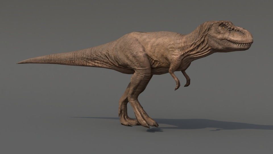 3D model Tyrannosaurus Rex VR / AR / low-poly rigged animated | CGTrader