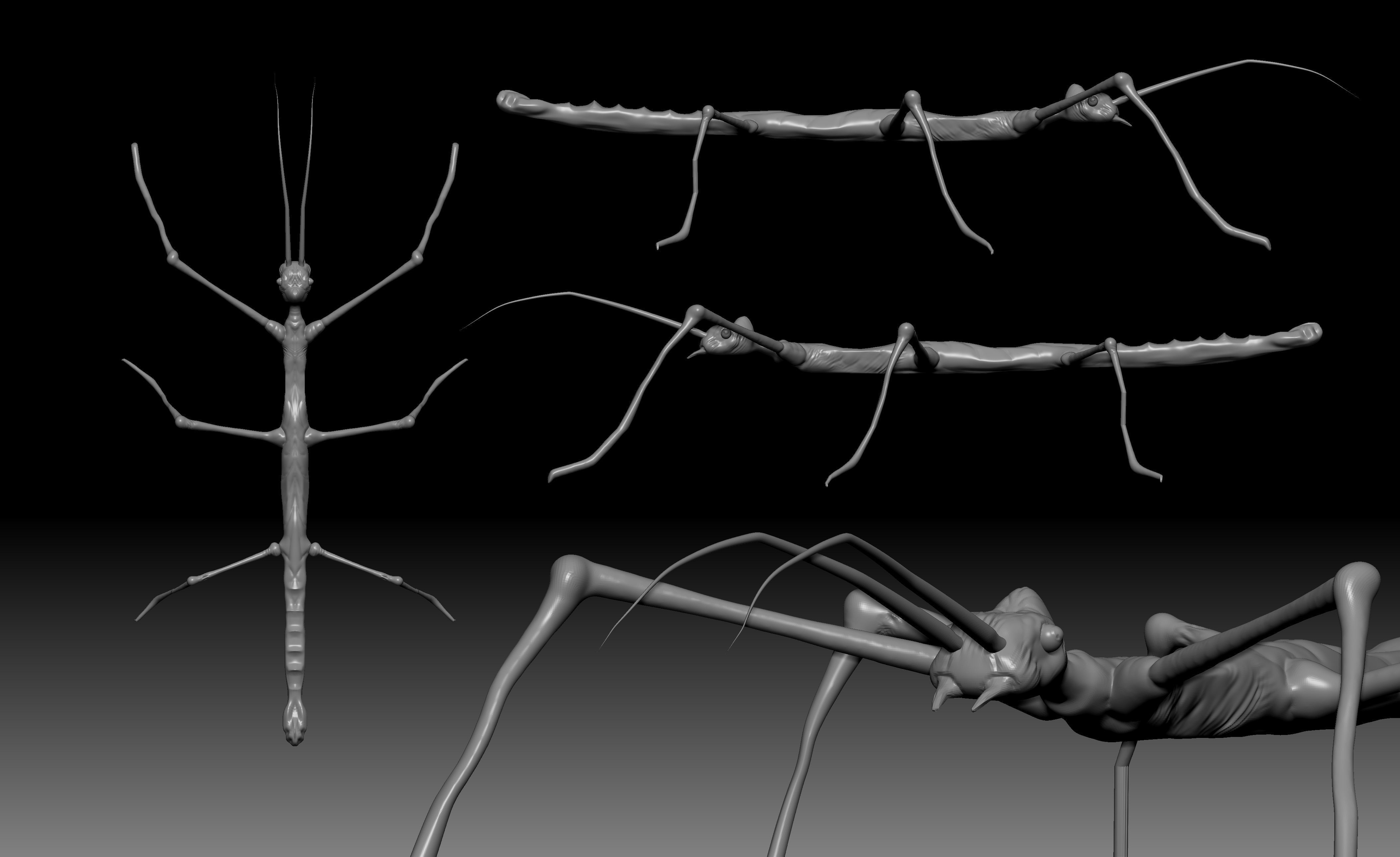 Giant Stick-Bug 3D model | CGTrader